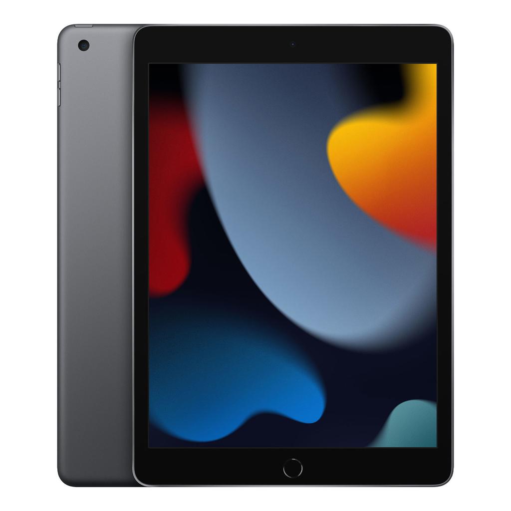 iPad 10.2 (2021) 256GB - Space Gray - (Wi-Fi + GSM/CDMA + LTE) 256 GB ...